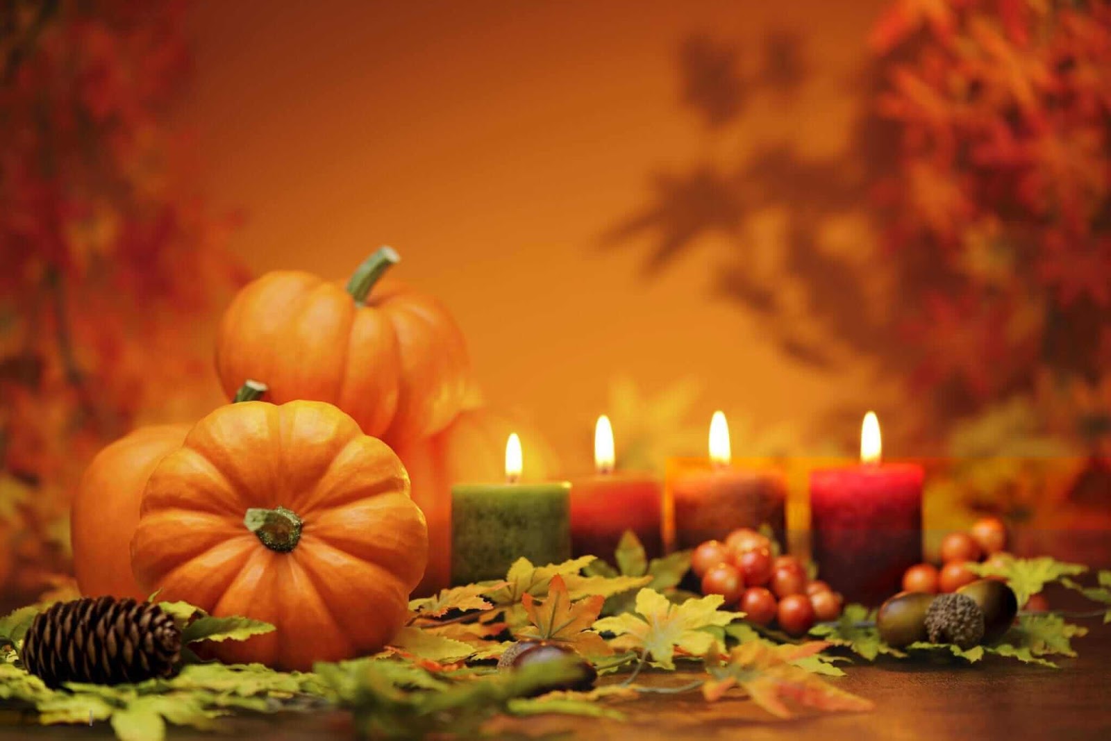Thanksgiving on Buddha Mountain – The Buddha Times